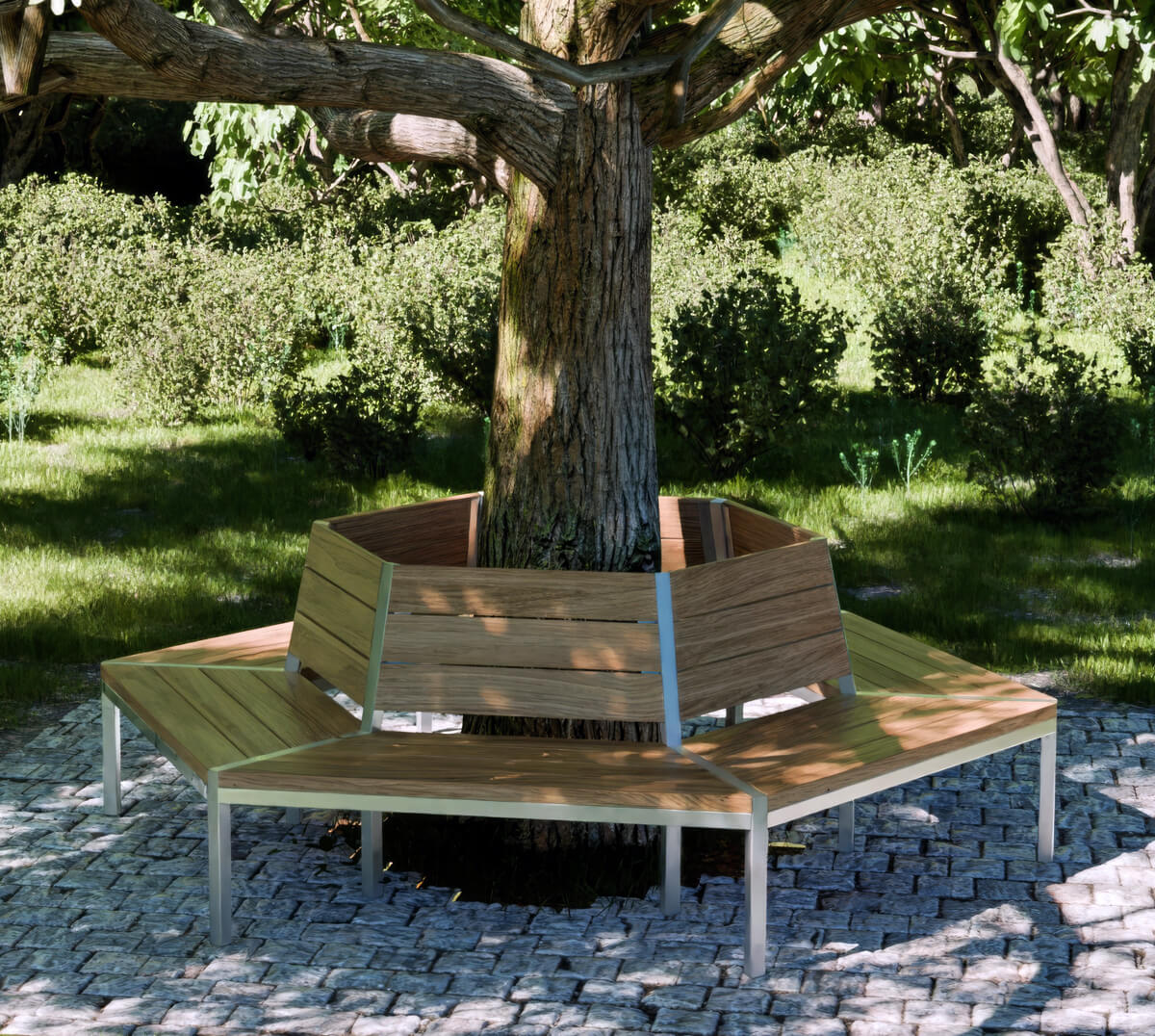 TREE-MEETING | Bildung einrichten